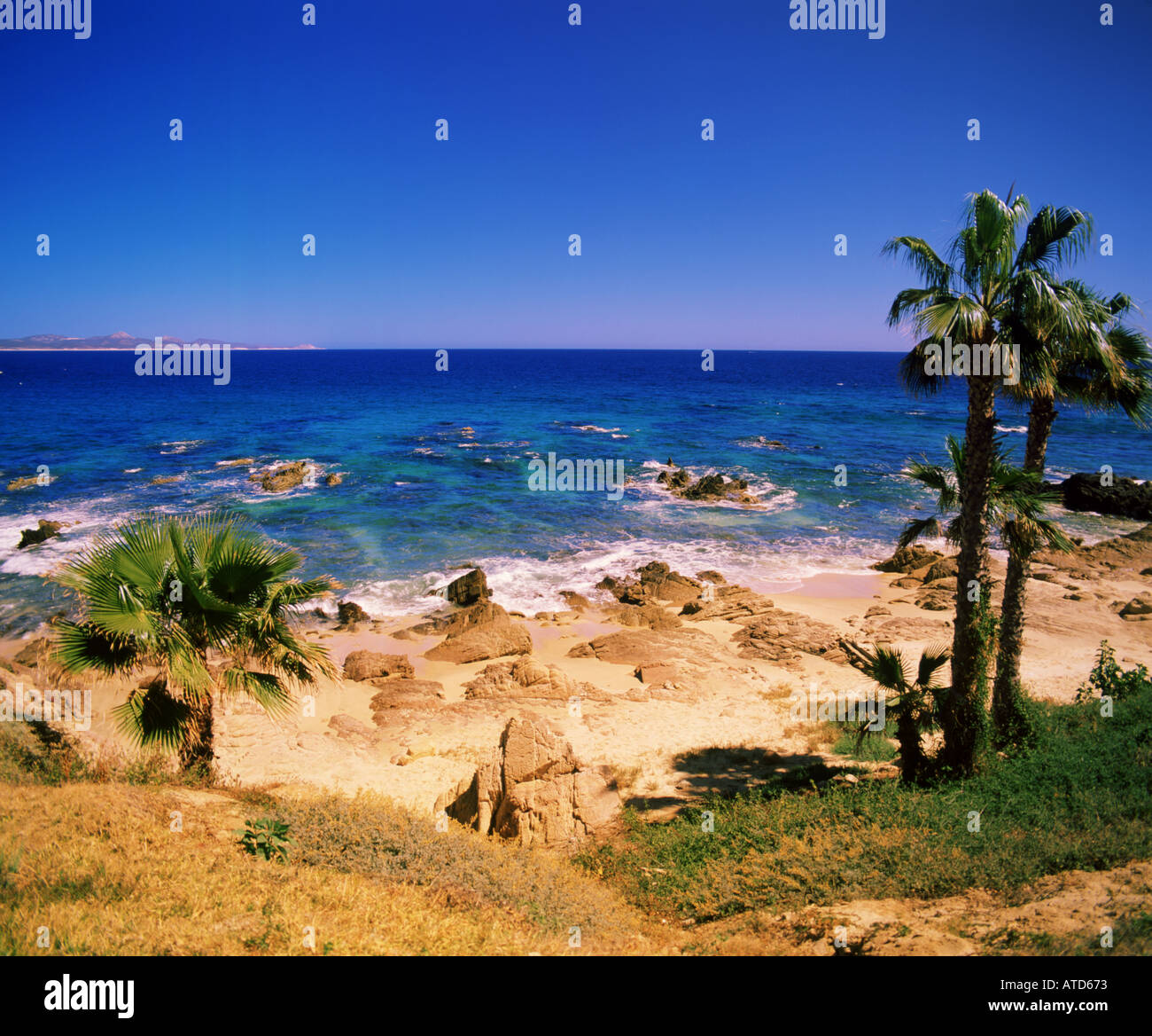Palm tree cabo san lucas hi-res stock photography and images - Alamy