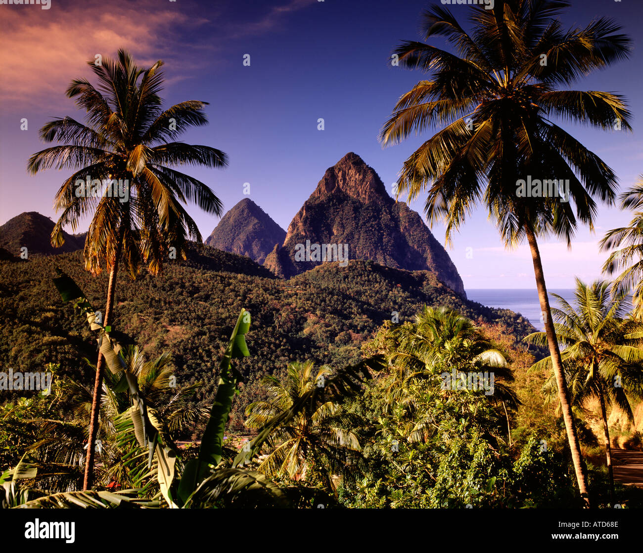 Rainforest of st lucia High Resolution Stock Photography and Images - Alamy