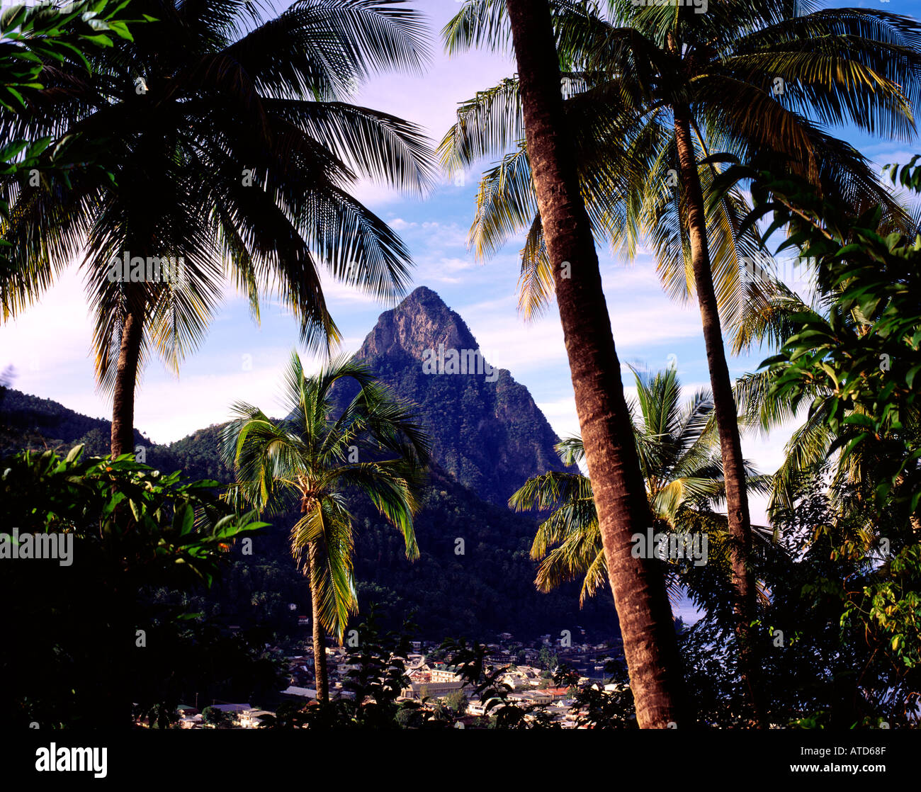 Knoll flowers hi-res stock photography and images - Alamy