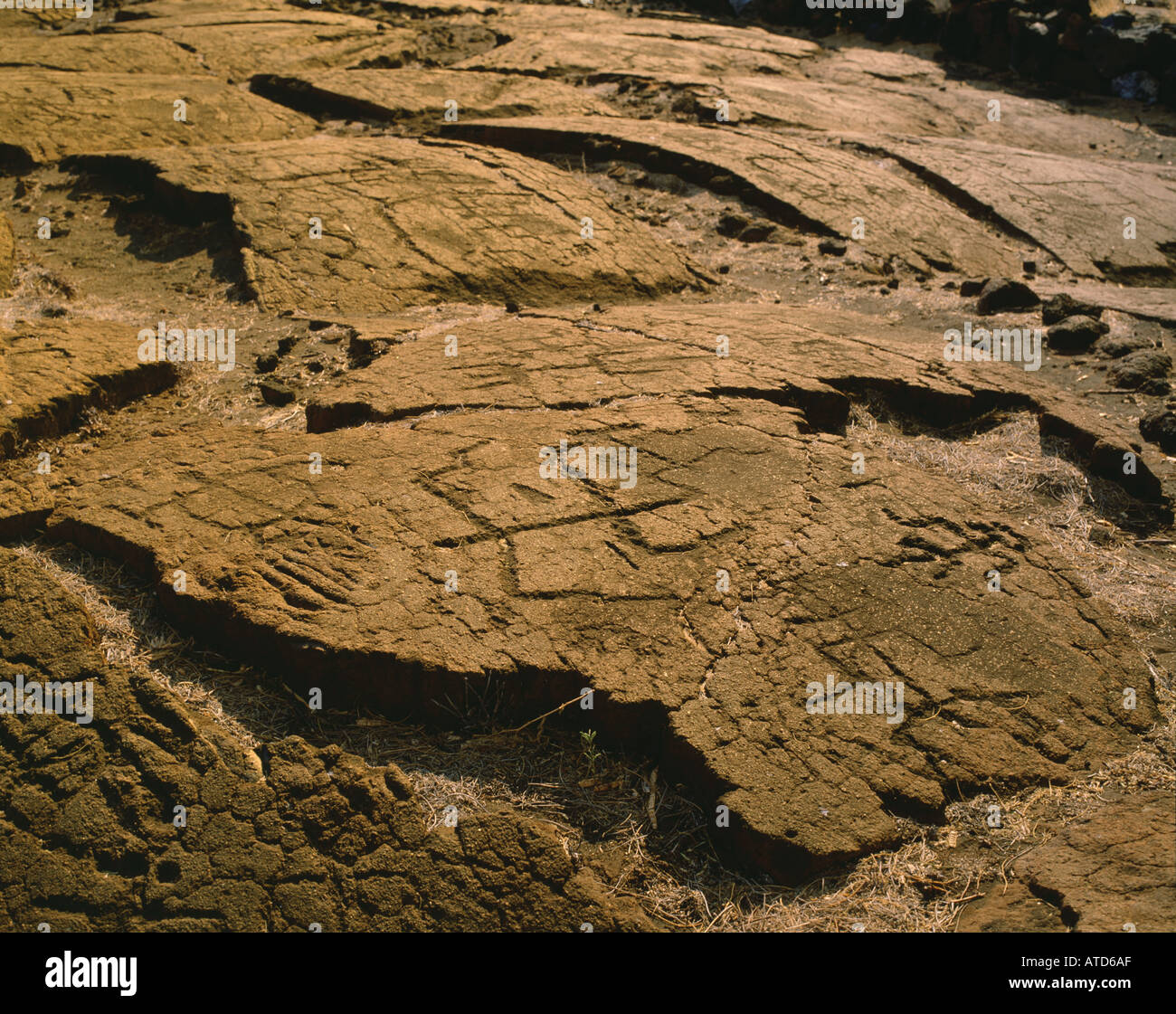 Puako carvings hi-res stock photography and images - Alamy