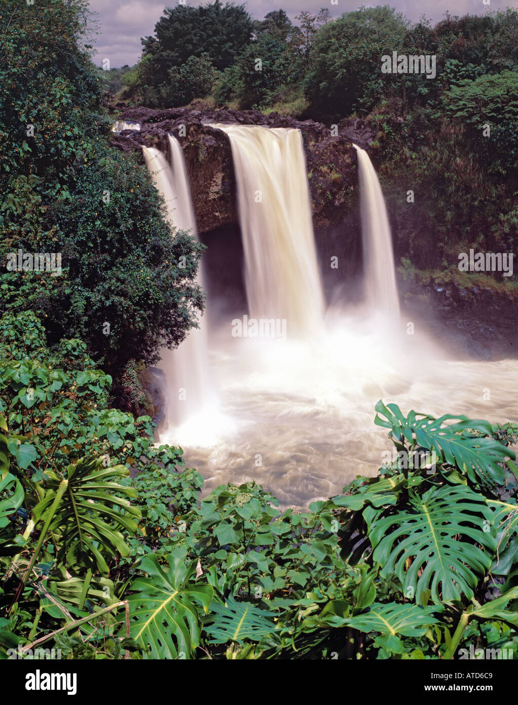 Hilo waterfalls hi-res stock photography and images - Alamy