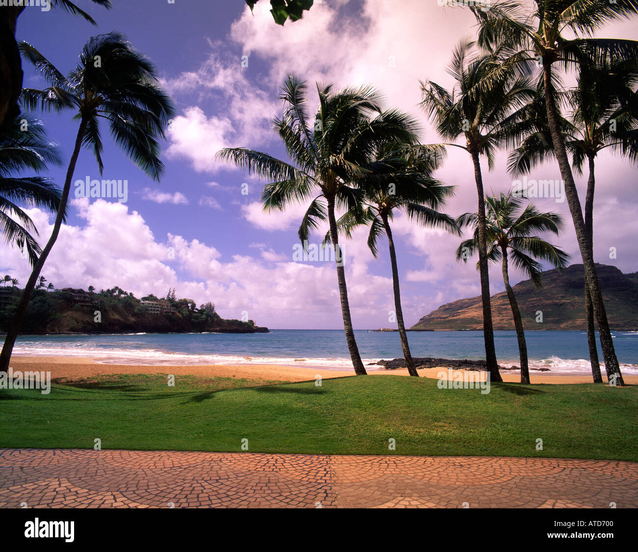 Palm trees on Kalapaki Beach Kauai Hawaii Stock Photo - Alamy