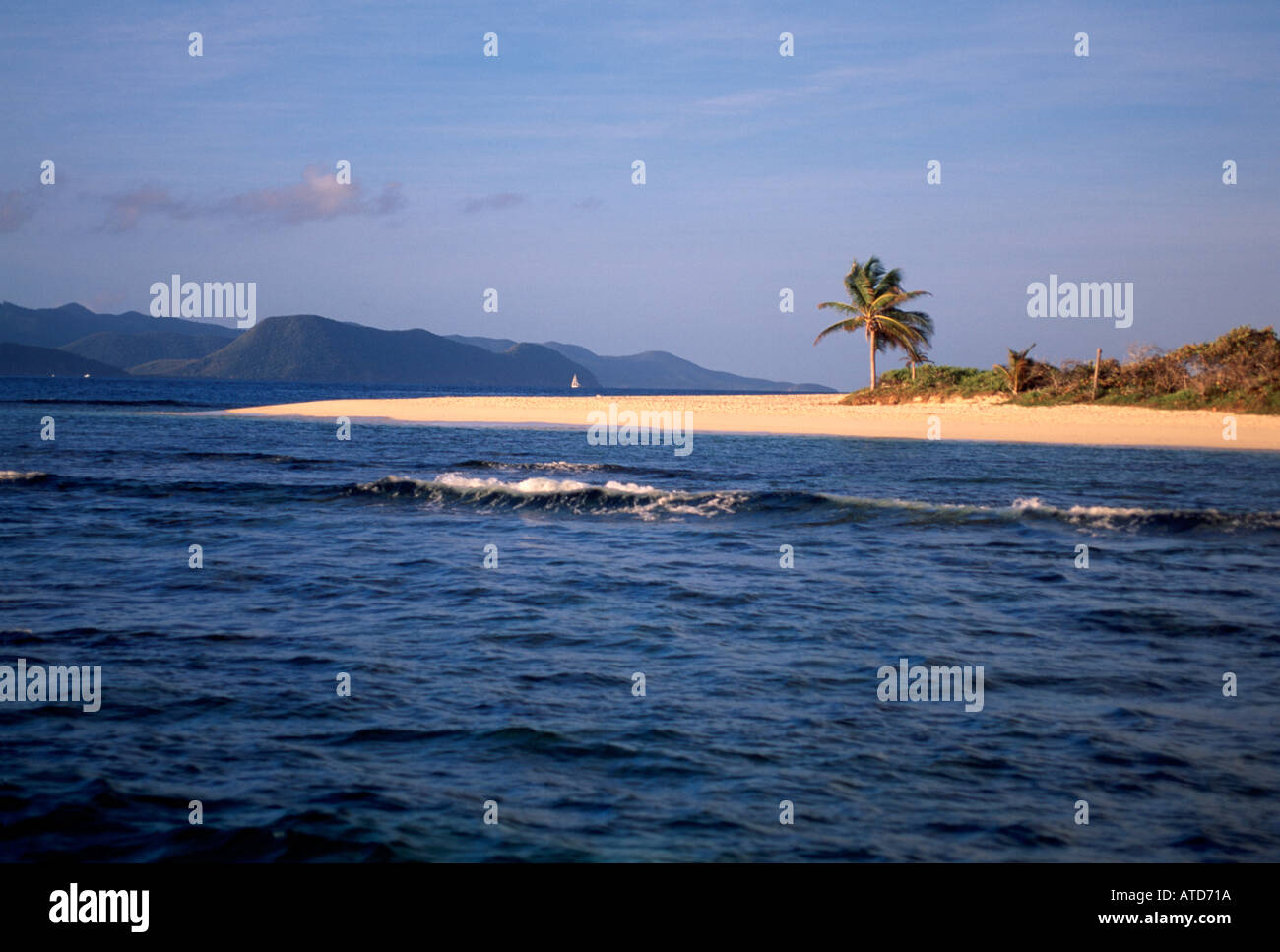 A lone palm tree stands on the shore of Sandy spit British Virgin ...