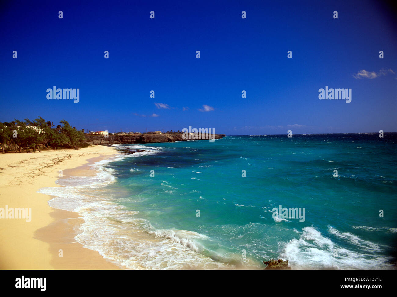 Tropical Beach Barbados Stock Photo - Alamy