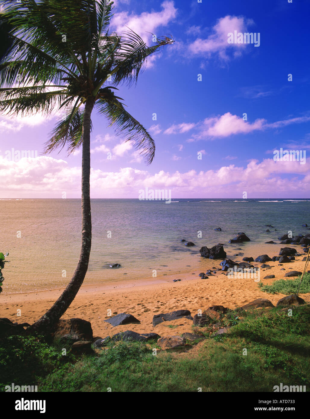 Lone palm tree silhouetted hi-res stock photography and images - Alamy