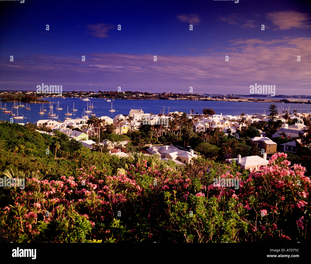 Waterfront homes bermuda hi-res stock photography and images - Alamy