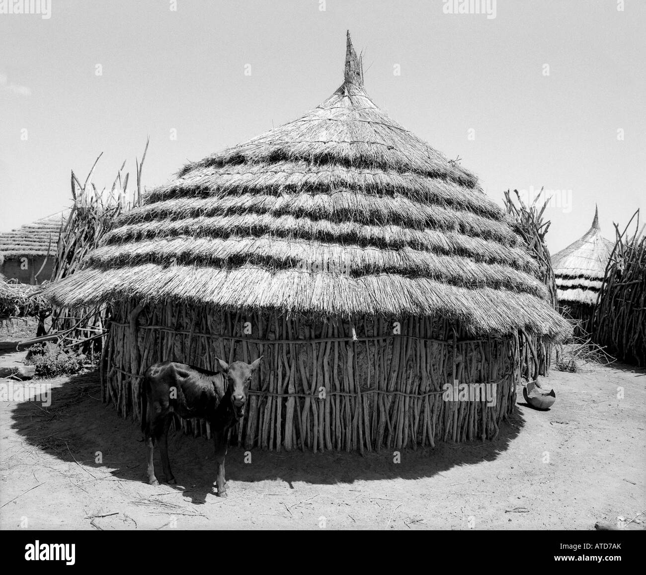 Karamajong tribal traditions Black and White Stock Photos & Images - Alamy