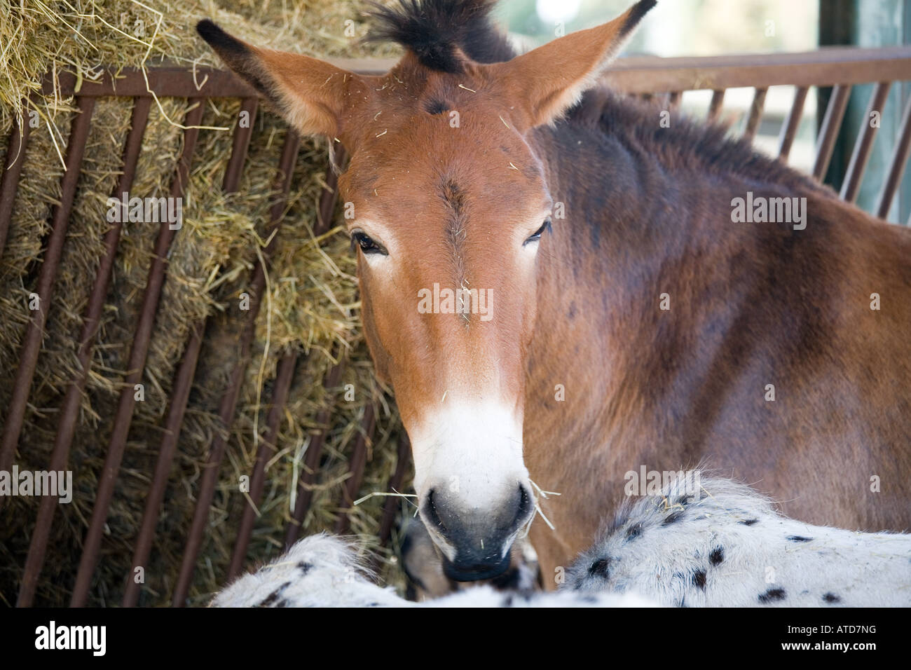 Brewing economy hi-res stock photography and images - Alamy