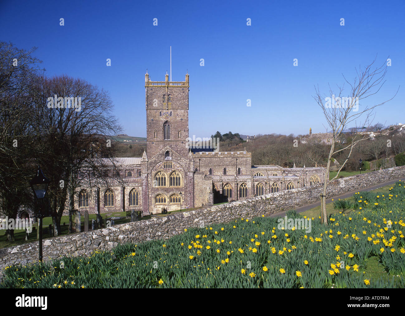St davids cathedral pembrokeshire west hi-res stock photography and ...