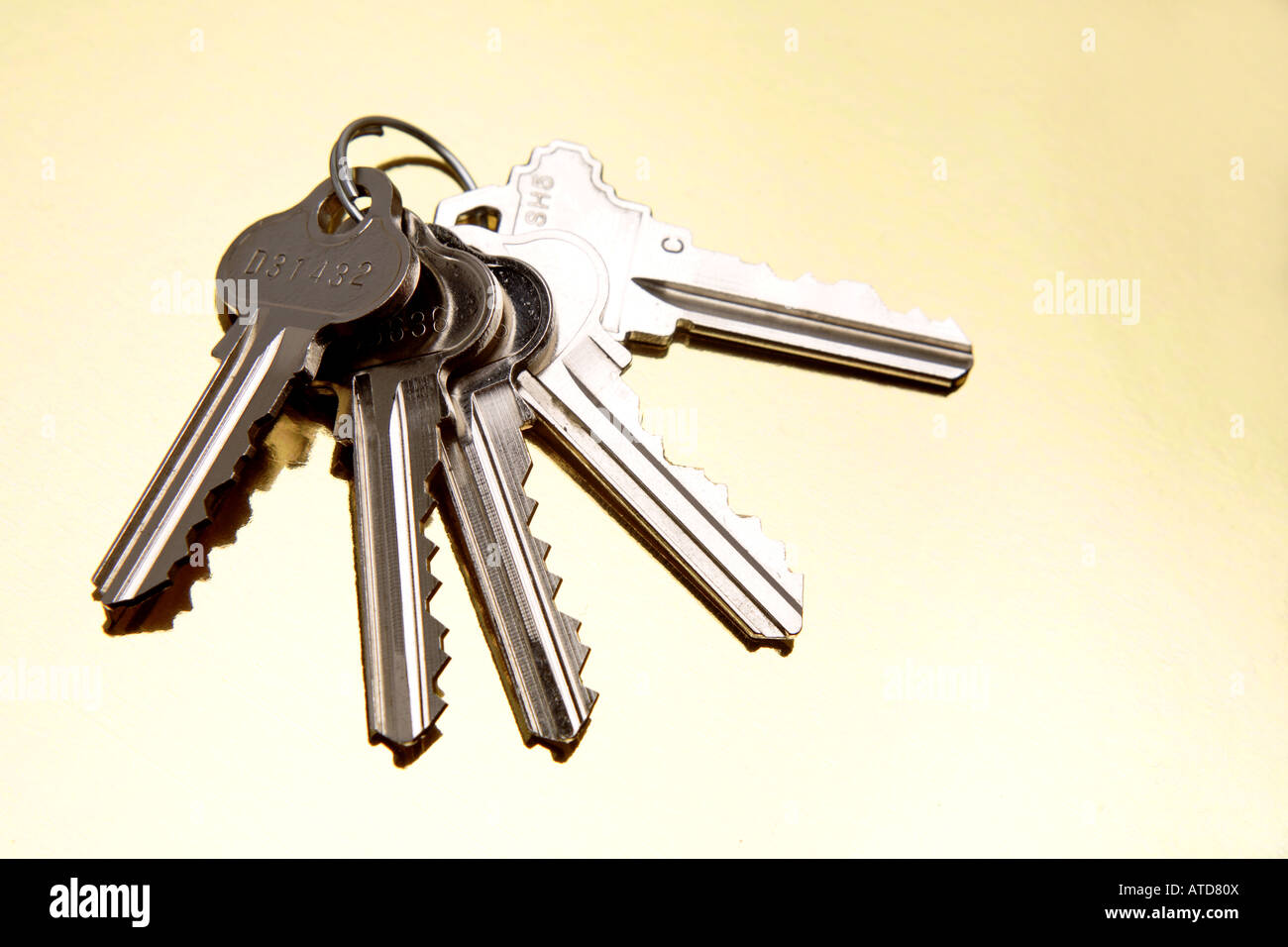 Keys on keyring Stock Photo - Alamy