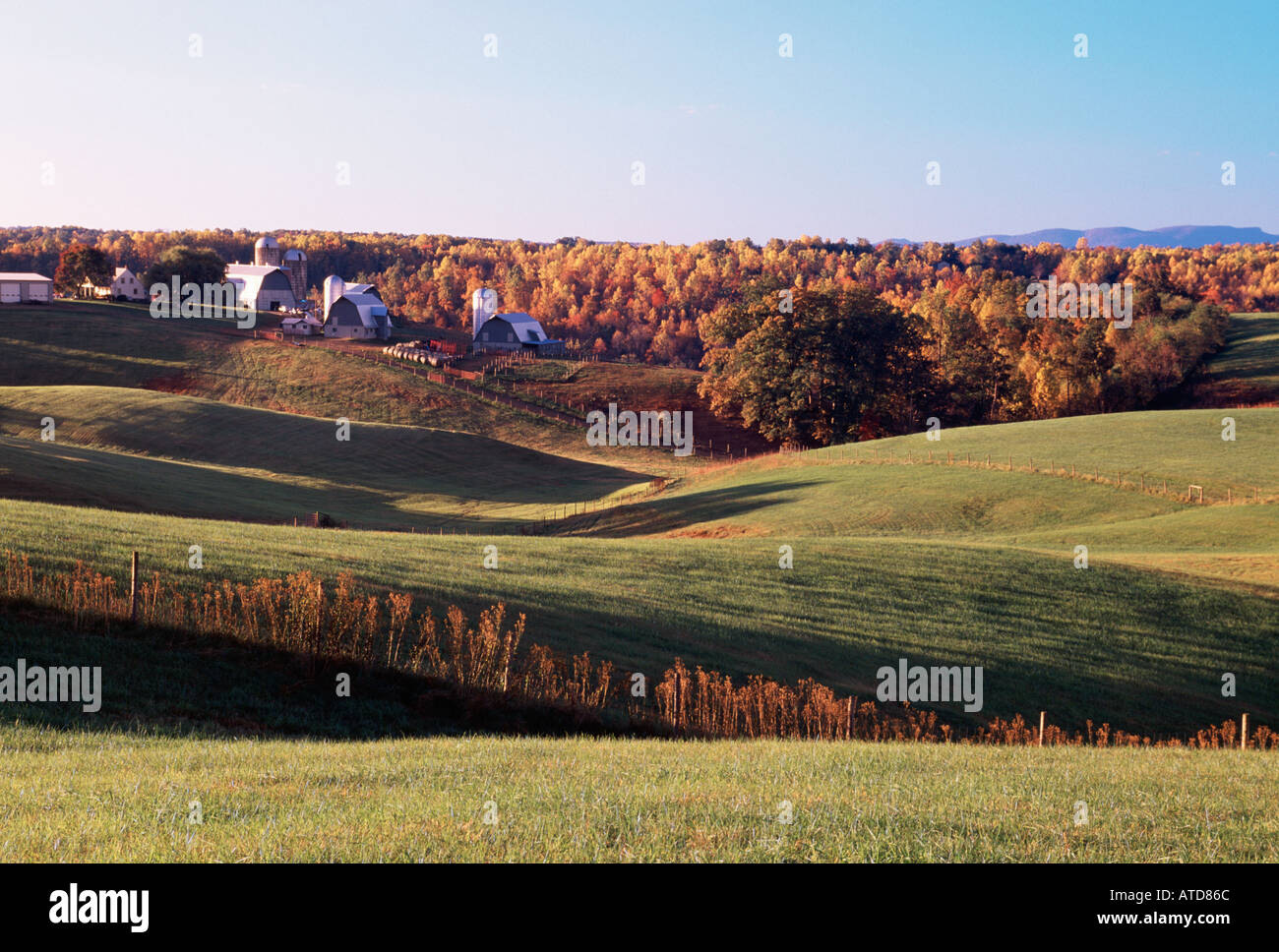 A farm with rolling hills in Virginia Stock Photo - Alamy