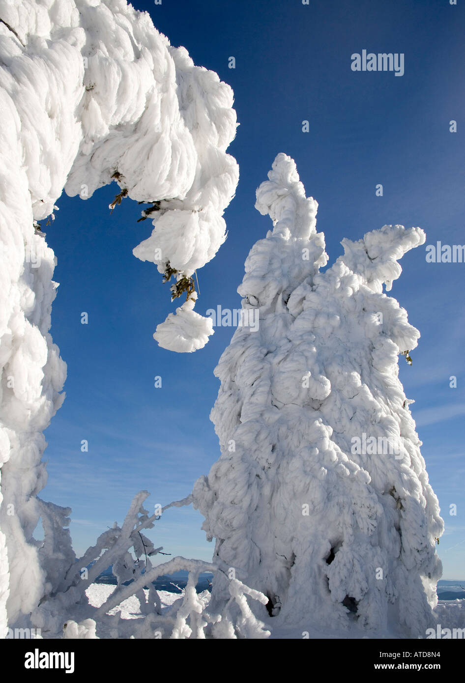 Snow in Germany Stock Photo - Alamy