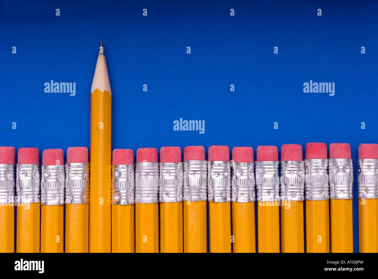 A sharp pencil amid a number of pencils eraser end up Stock Photo - Alamy