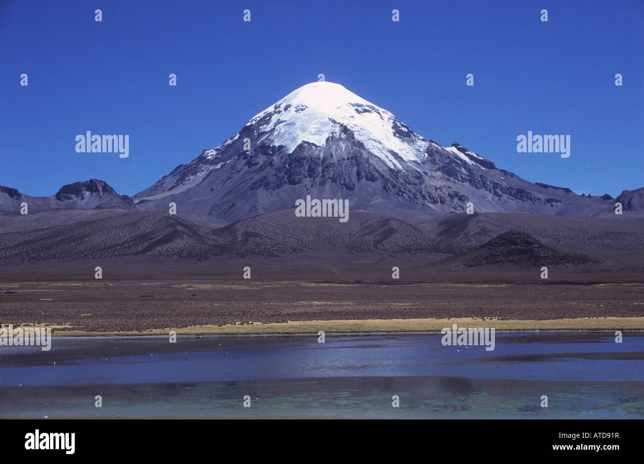 Volcan nevado sajama hi-res stock photography and images - Alamy