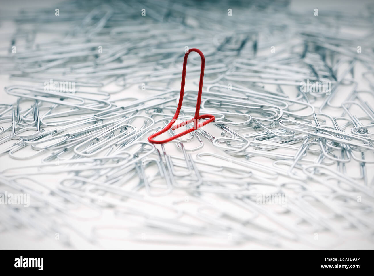 A unique red paperclip stands out in a crowd of other plain paperclips ...