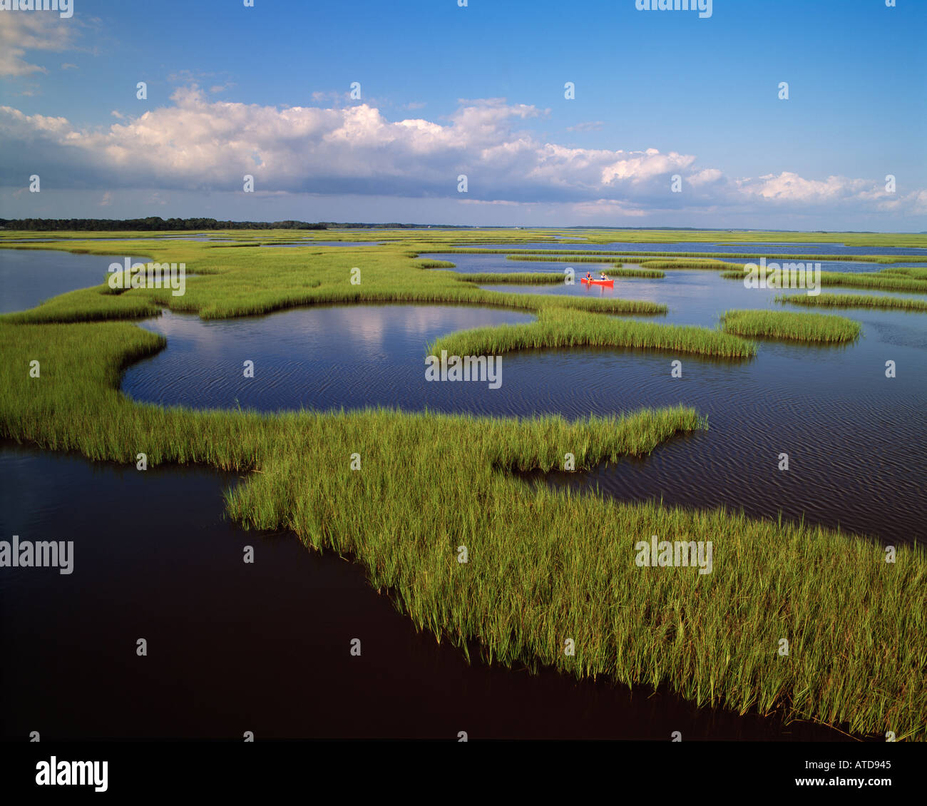 North carolina coast hi-res stock photography and images - Alamy