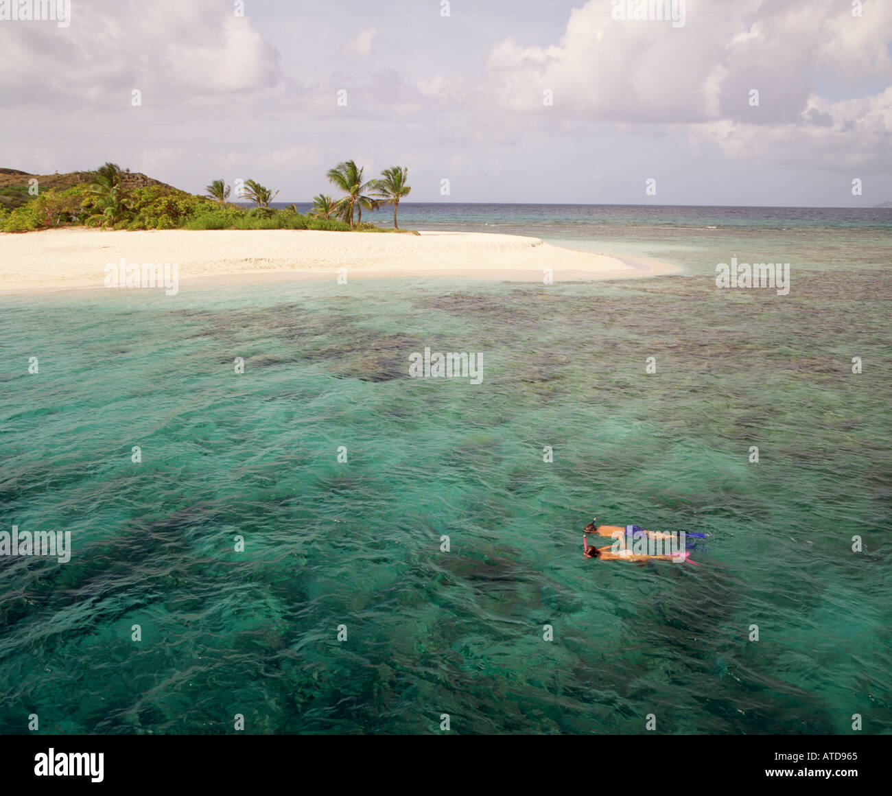 Couple snorkeling in the British Virgin Islands off of Sandy Spit Stock ...