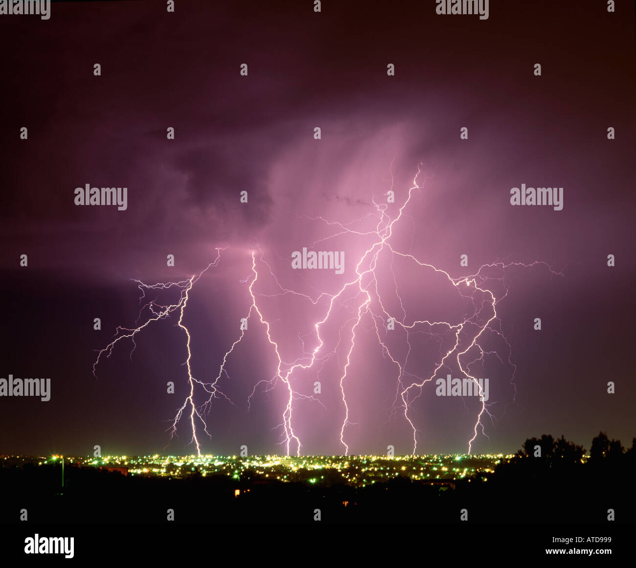Dramatic display of lightning bolts shooting across a stormy night sky ...