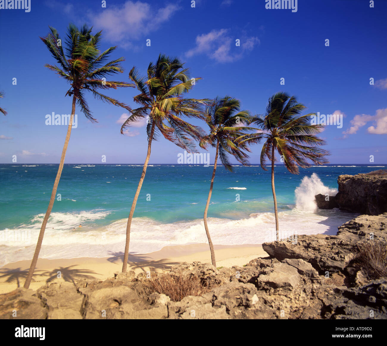 Strong breeze hi-res stock photography and images - Alamy