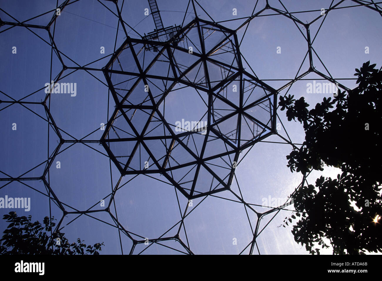 Roof detail at the Eden Project in Cornwall England Stock Photo - Alamy