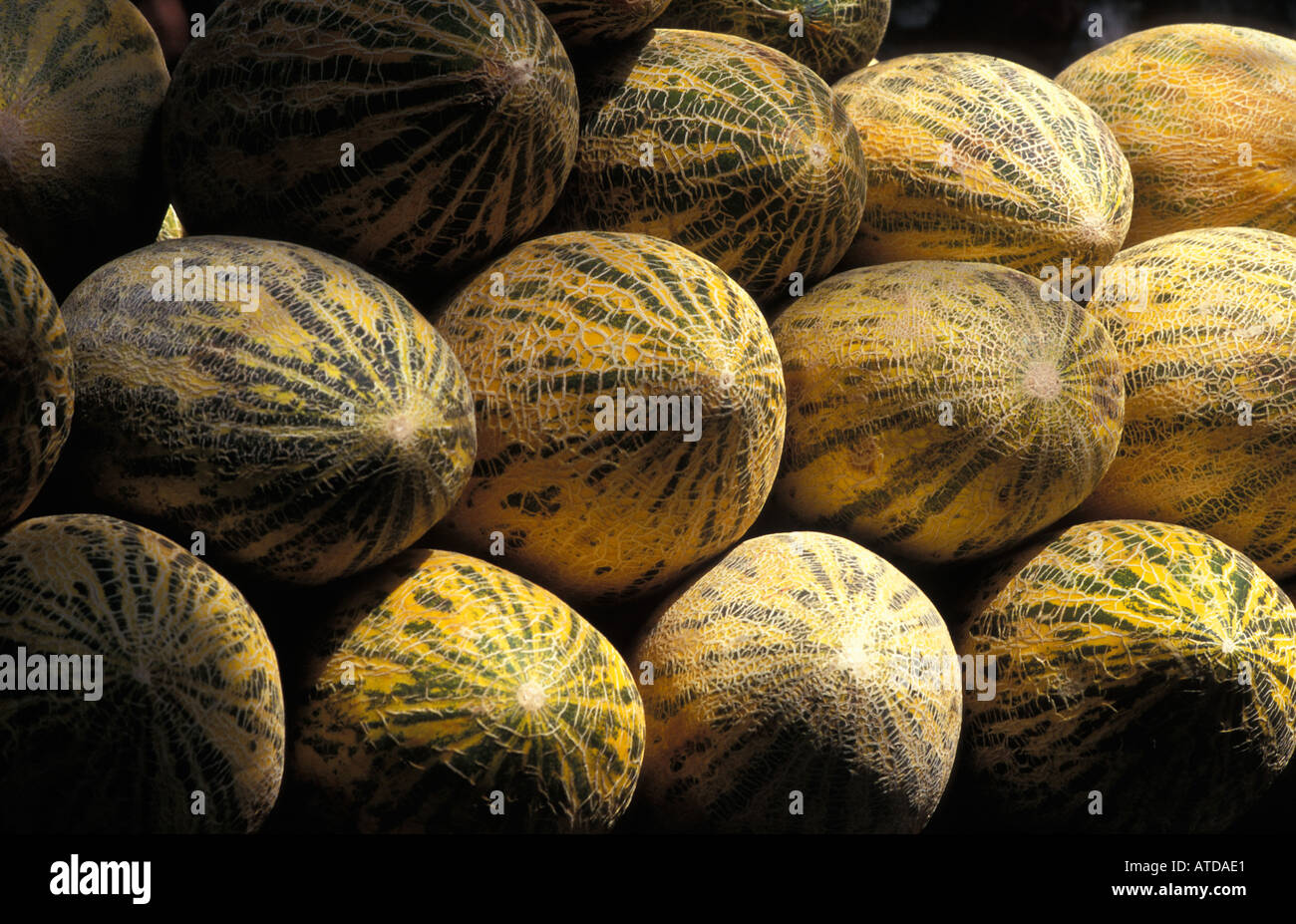 Melons stacked high on a market stall Gilgit Karakoram Highway Pakistan ...