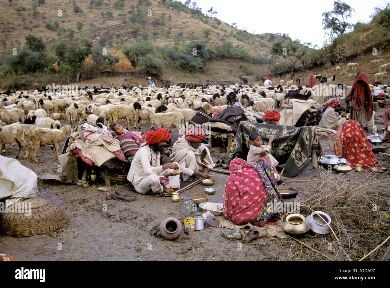 Marwa nomads family eating, Rajasthan, India Stock Photo - Alamy