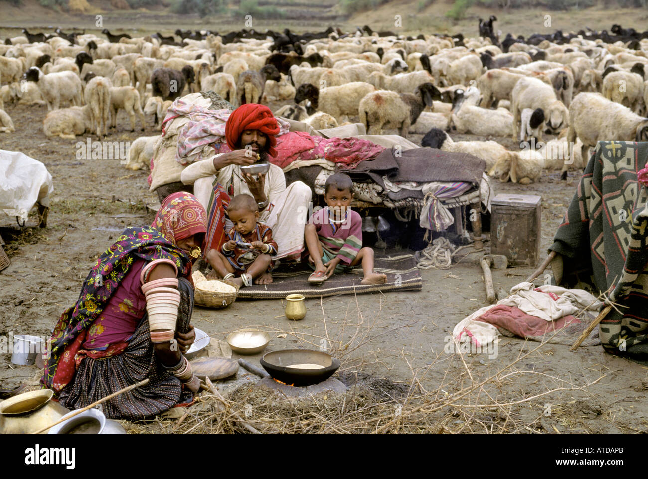 Marwa nomads family eating with shepherd, Rajasthan, India Stock Photo ...
