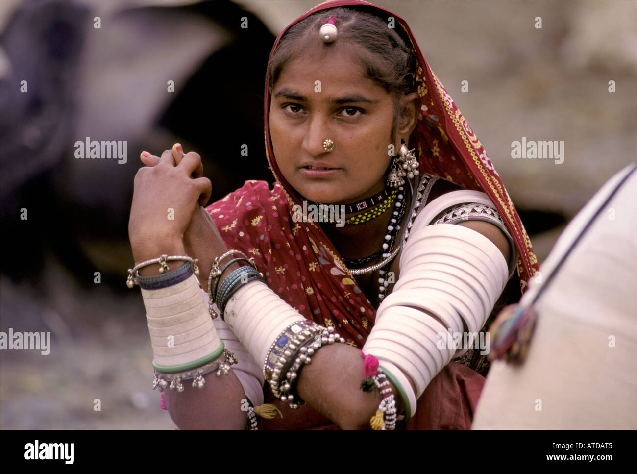 Marwa hi-res stock photography and images - Alamy