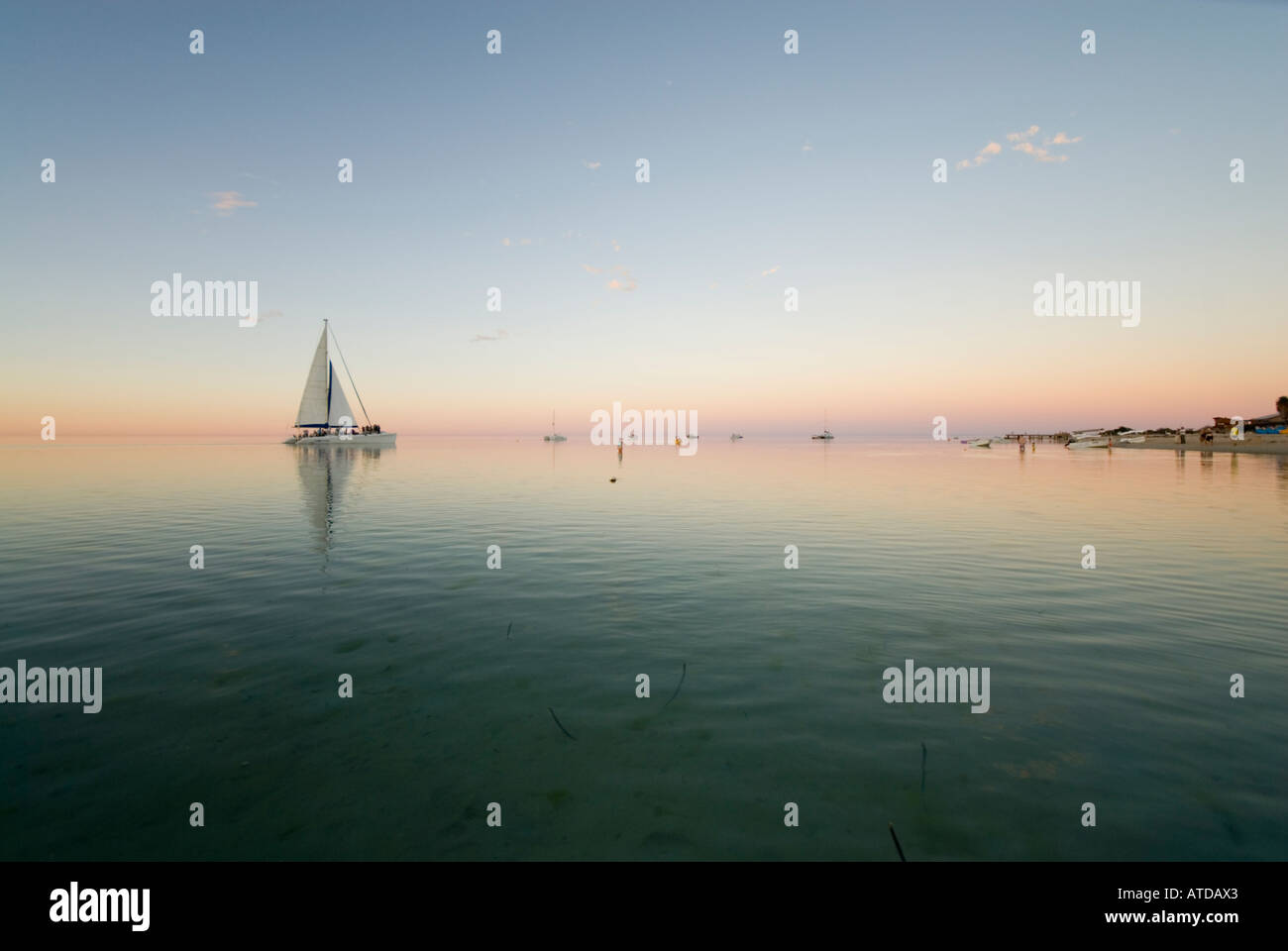 Monkey Mia at Shark Bay Stock Photo - Alamy