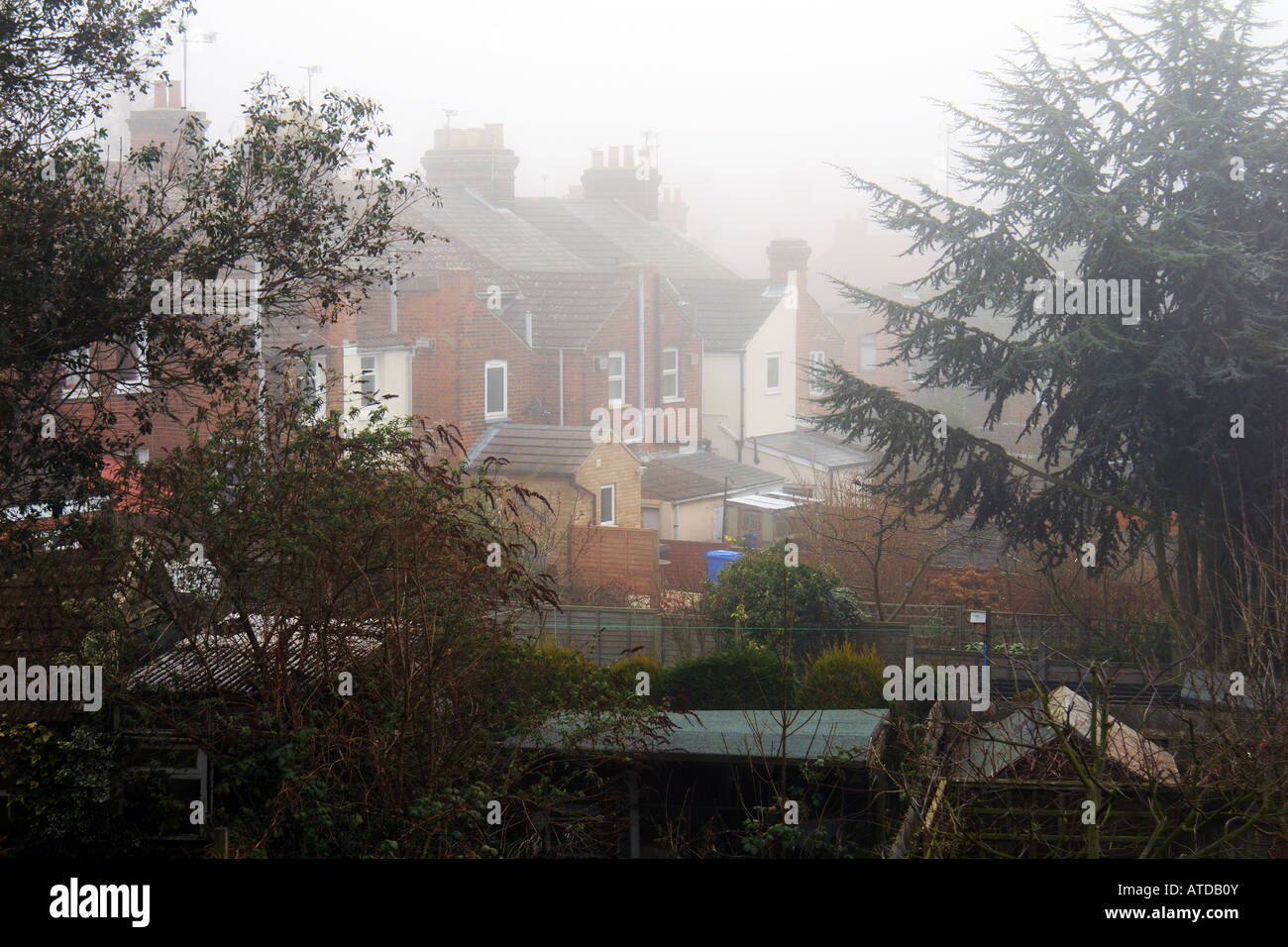 Victorian back back terrace houses hi-res stock photography and images ...