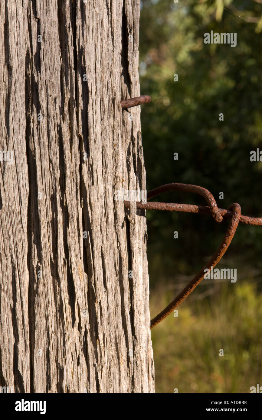 A fence post with some rusty fencing wire Stock Photo - Alamy