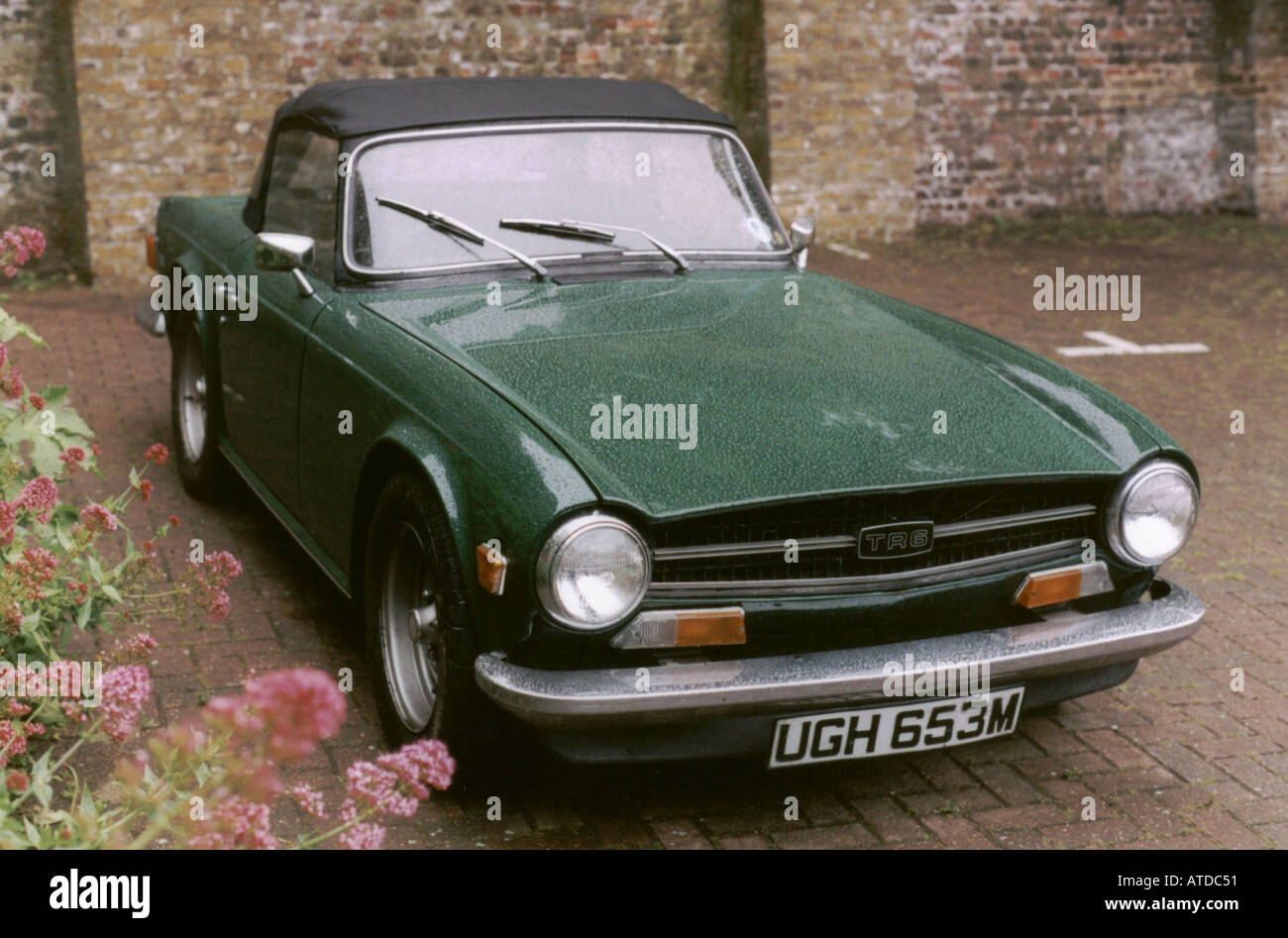 Triumph tr6 front view hi-res stock photography and images - Alamy