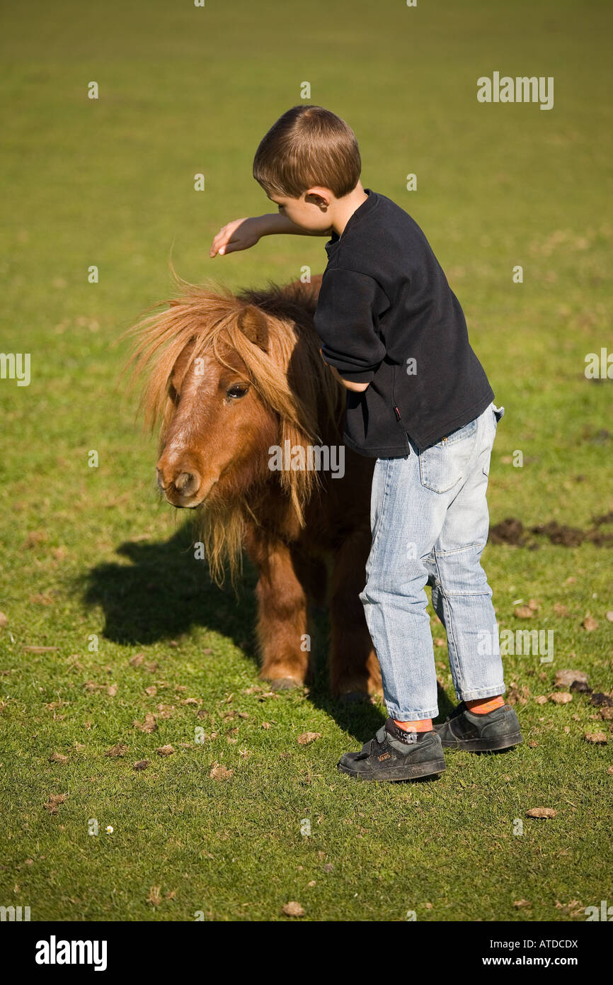 boy with small brown Pony Stock Photo - Alamy