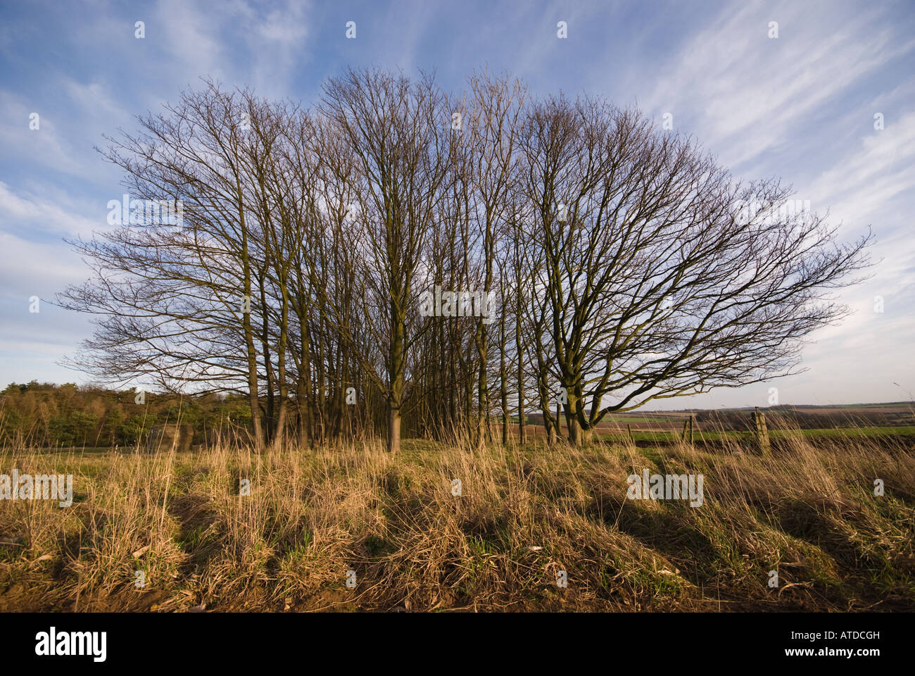 Rauceby Stock Photos & Rauceby Stock Images - Alamy
