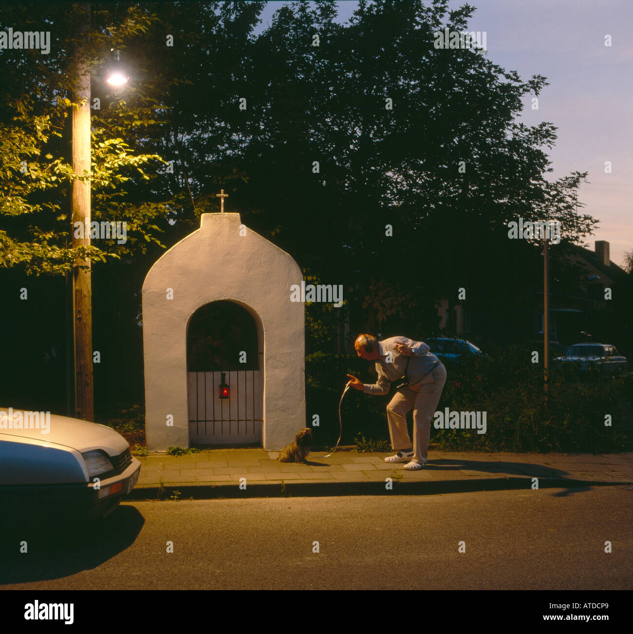 Senior citizen with dog Stock Photo - Alamy