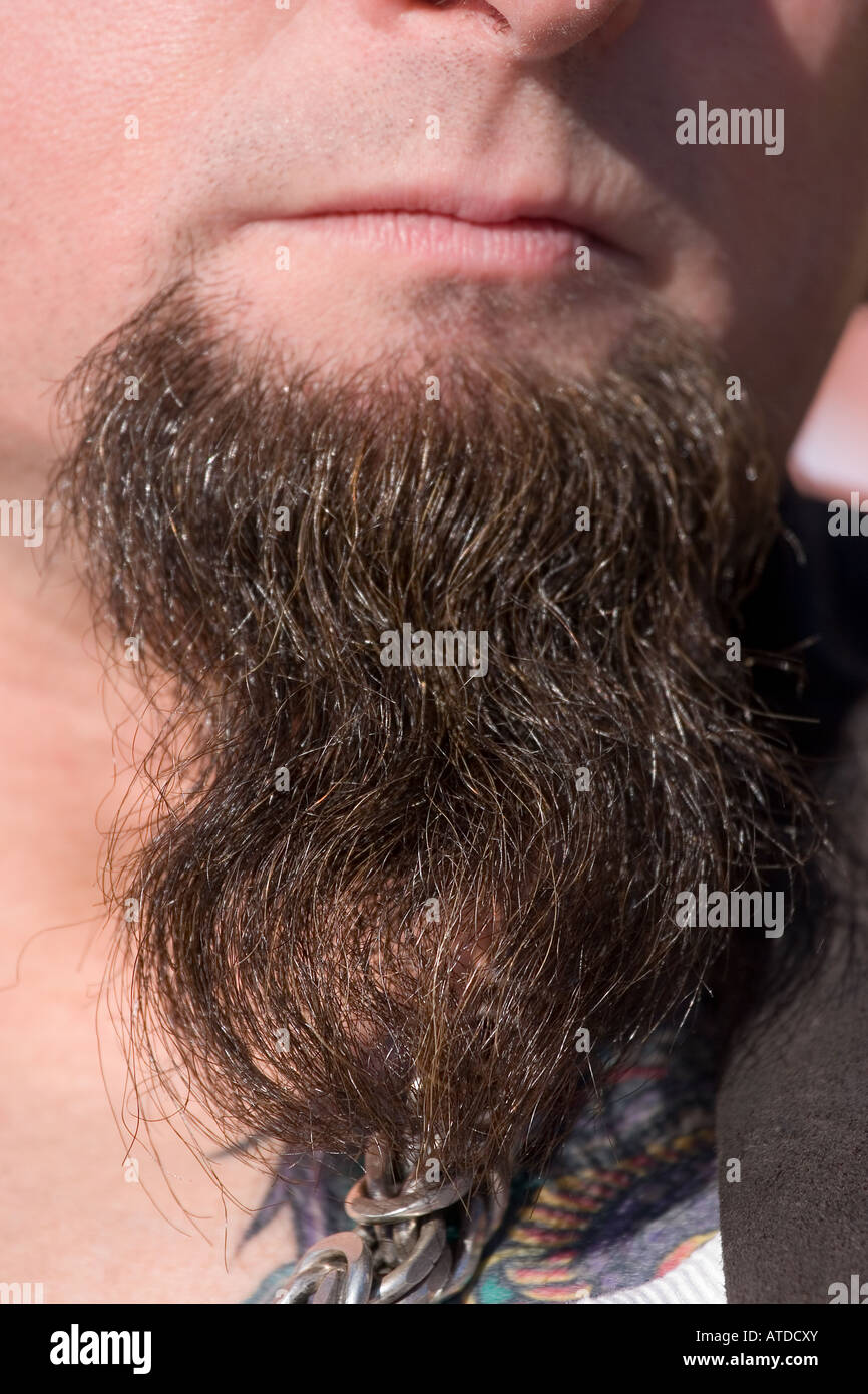Dark-brown long wavy chin beard Stock Photo - Alamy