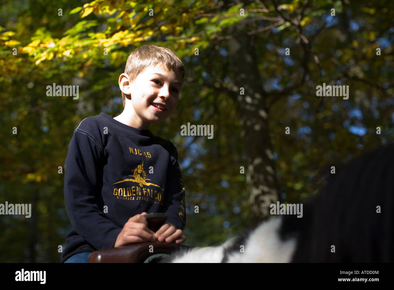 boy rides on a horse Stock Photo - Alamy