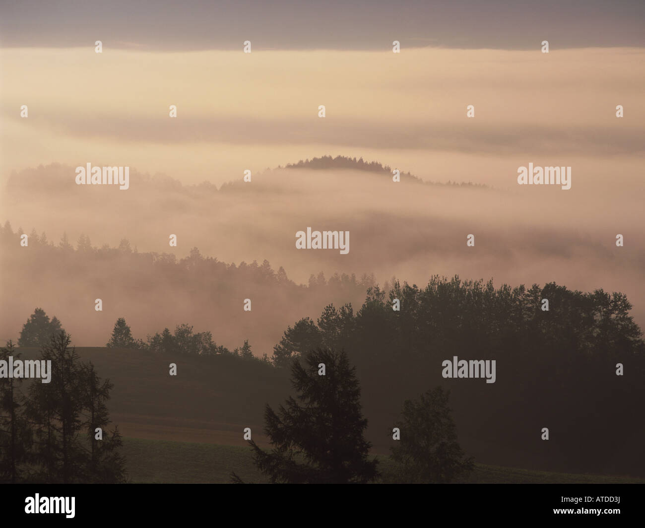 Fog over hill, Hokkaido, Japan Stock Photo - Alamy