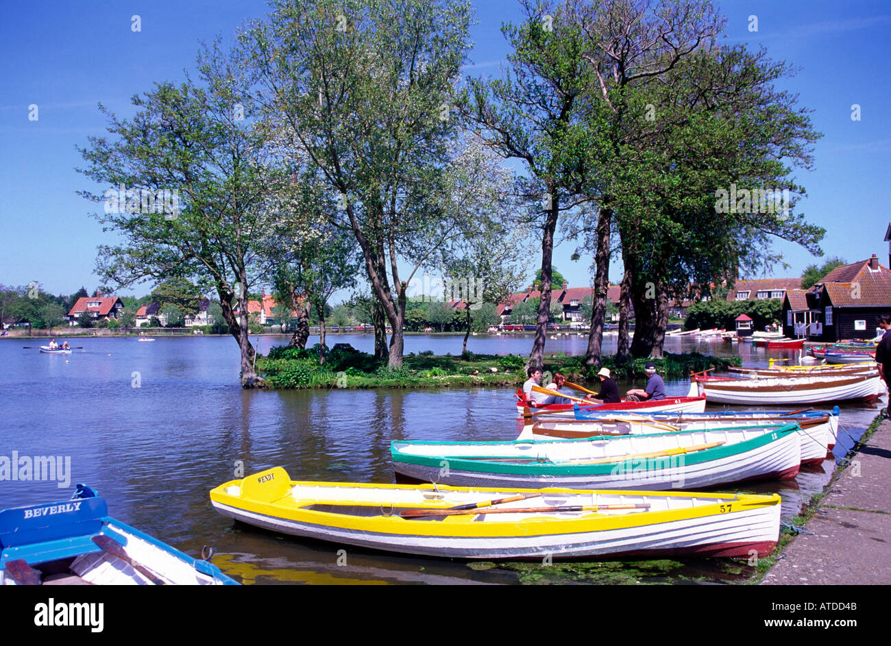 Rowing boats on the meare hi-res stock photography and images - Alamy