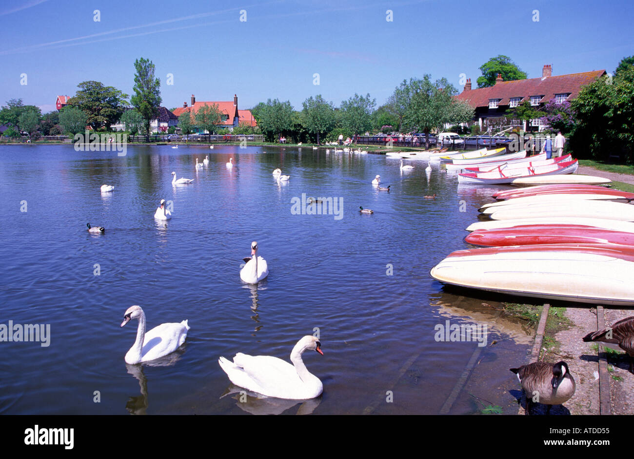 Rowing boats on the meare boating lake at thorpeness hi-res stock ...