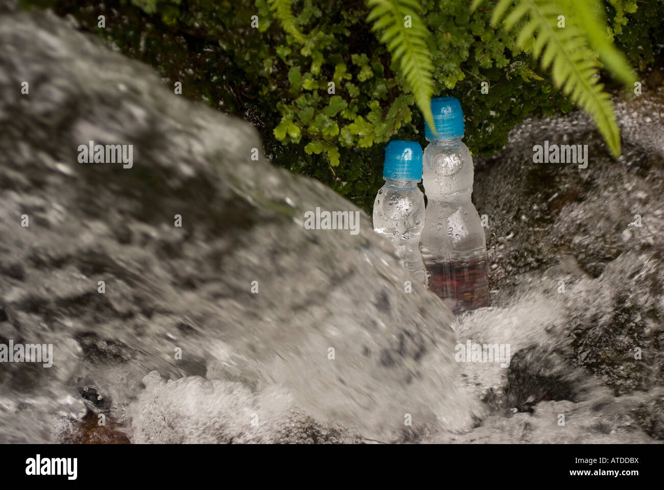 Bottles of soda in running water Stock Photo - Alamy