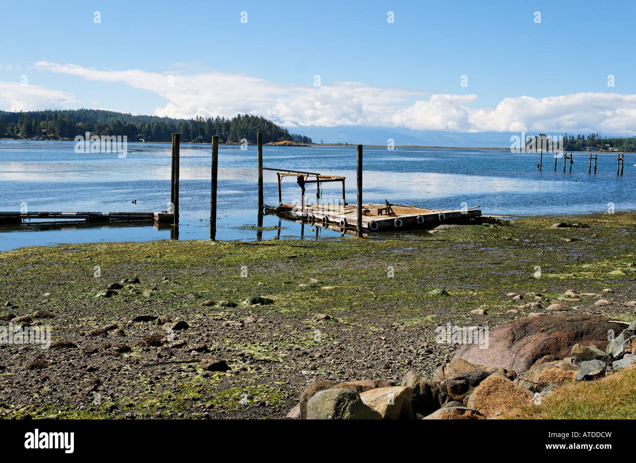 Sooke harbour hi-res stock photography and images - Alamy
