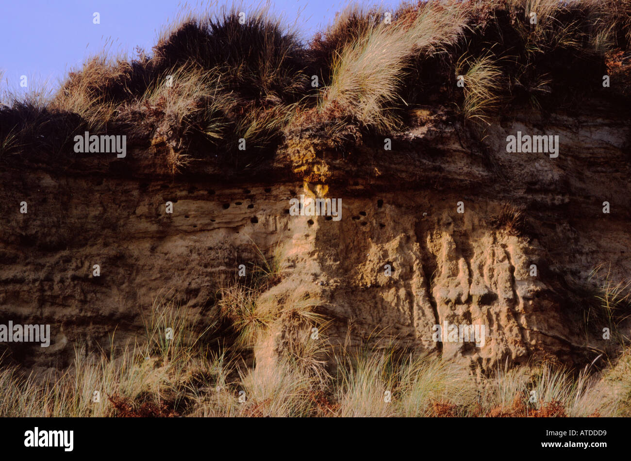 Soil profile hi-res stock photography and images - Alamy