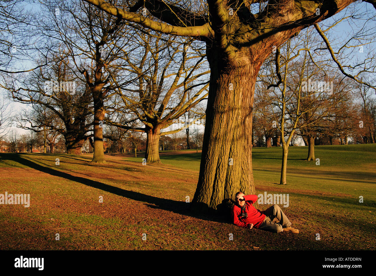Young man resting in English Park in early Spring UK Stock Photo - Alamy
