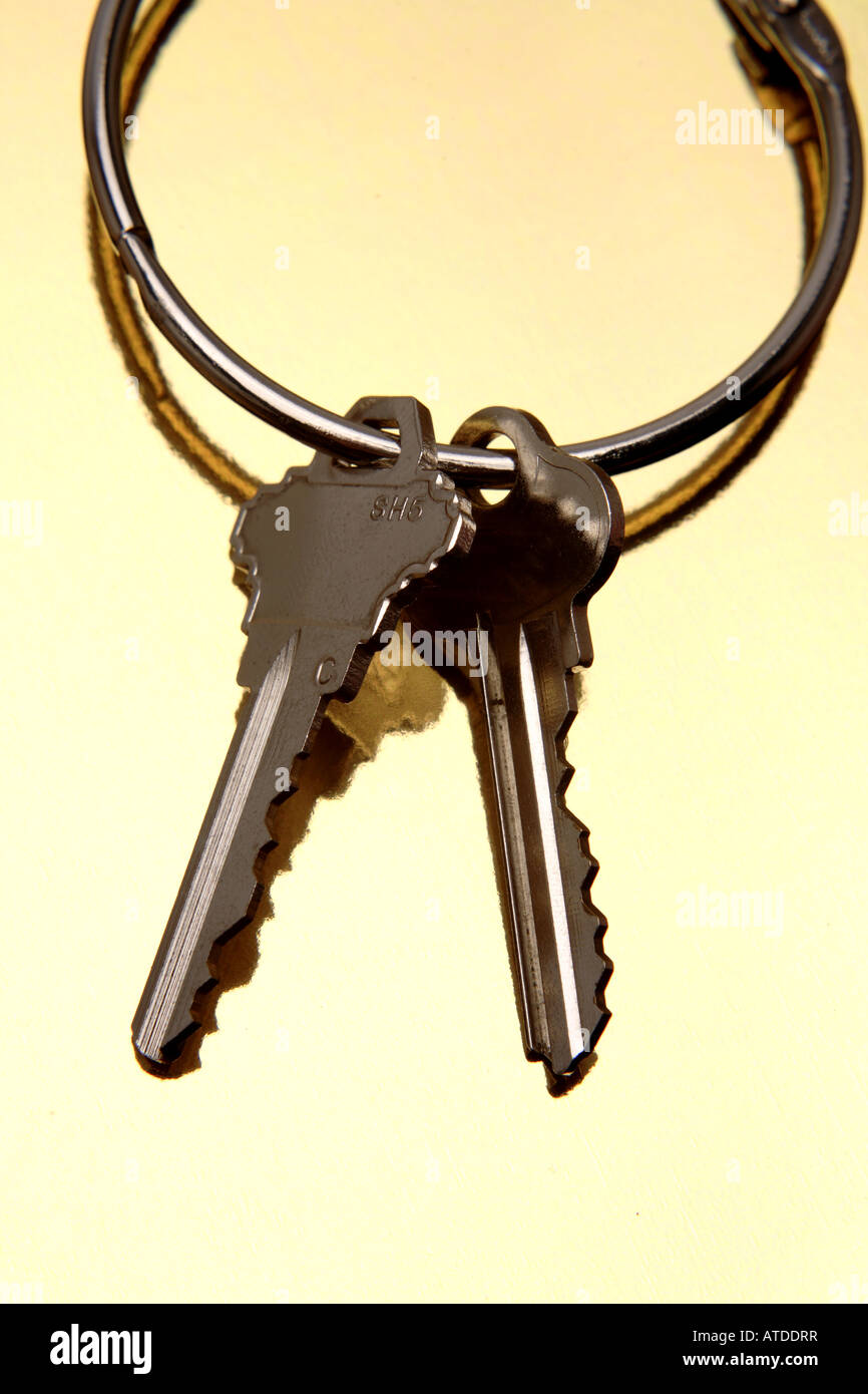 Two keys on keyring Stock Photo - Alamy