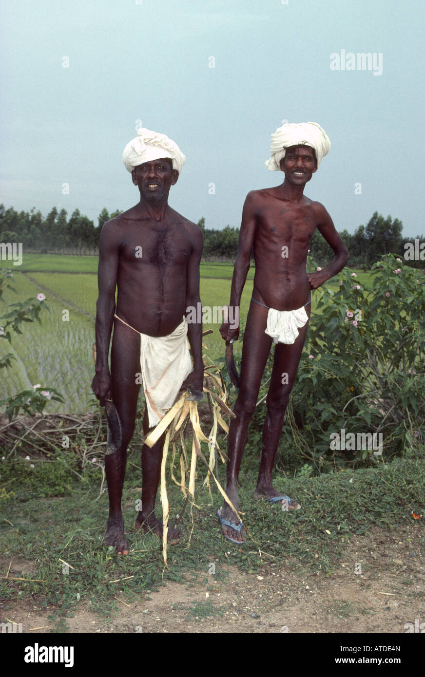 Two field workers in Southeastern India dressed in loin cloths and ...