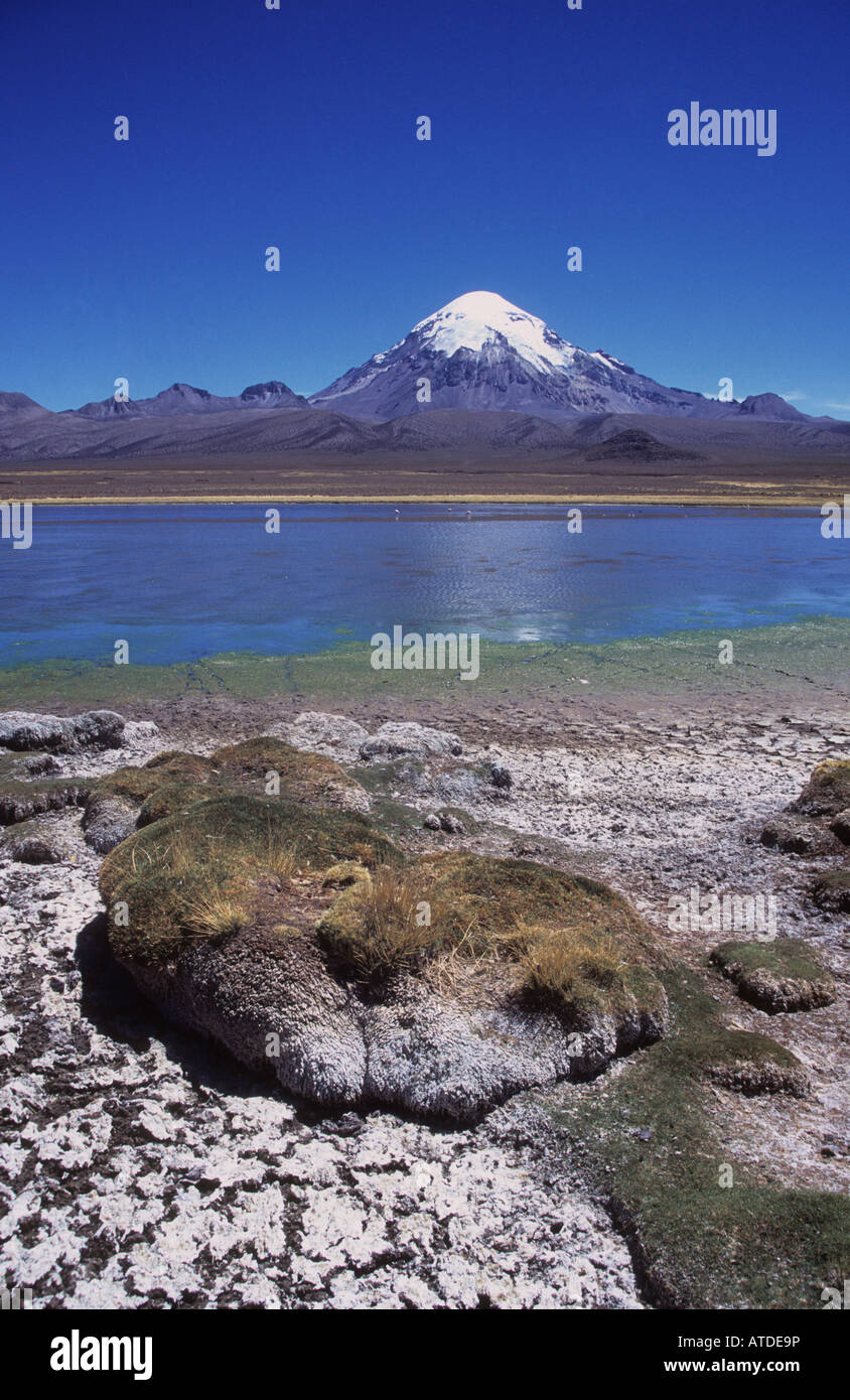 Volcan nevado sajama hi-res stock photography and images - Alamy