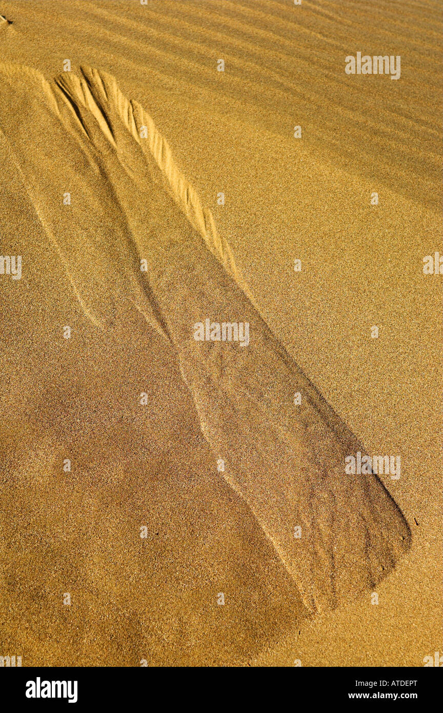 Showing landslide hi-res stock photography and images - Alamy