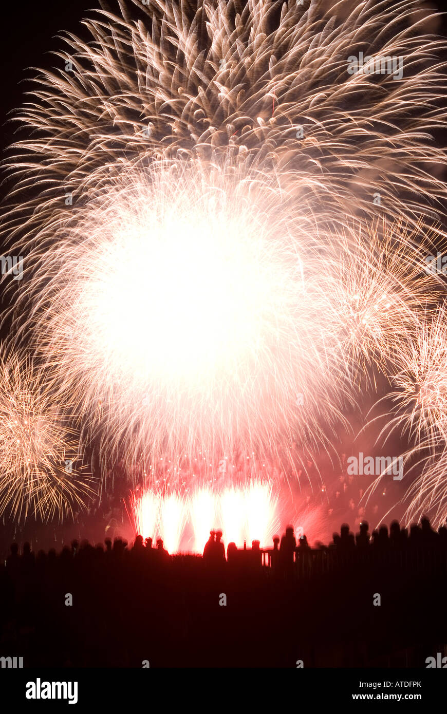Japanese firework hi-res stock photography and images - Alamy