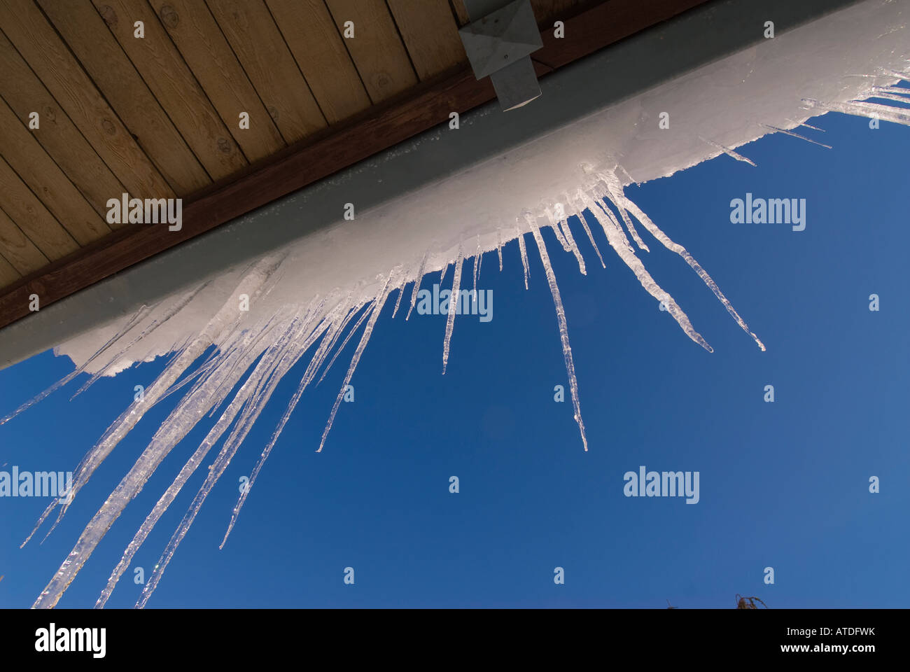 winter icicles frozen ice spikes hang from roof bright sparkling ...